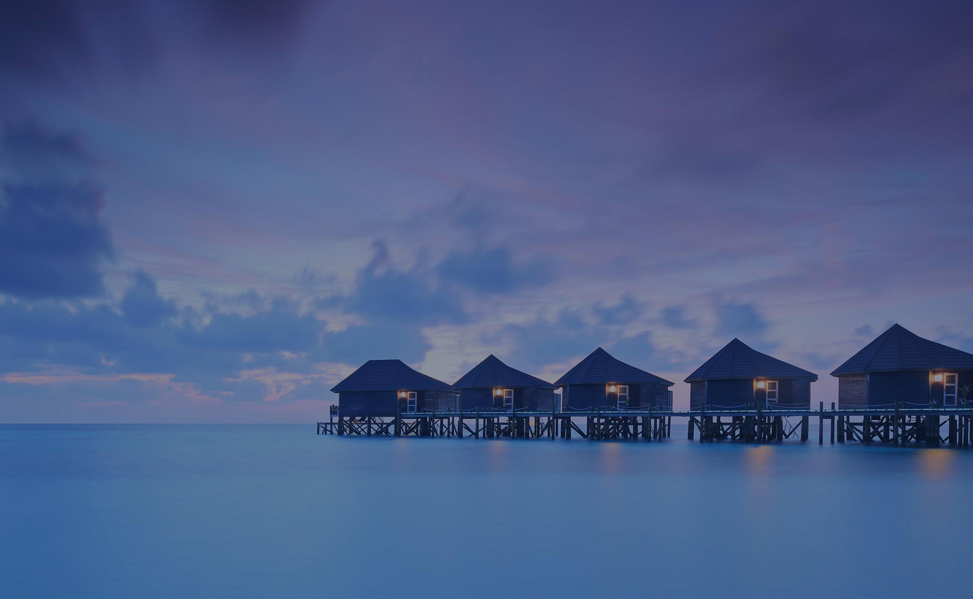 ABOUT US - Agape Gardens